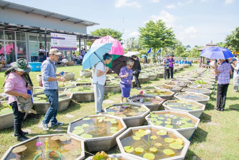 Lotus Museum
