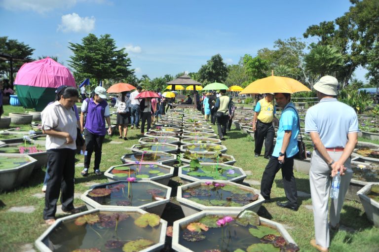 Lotus Museum