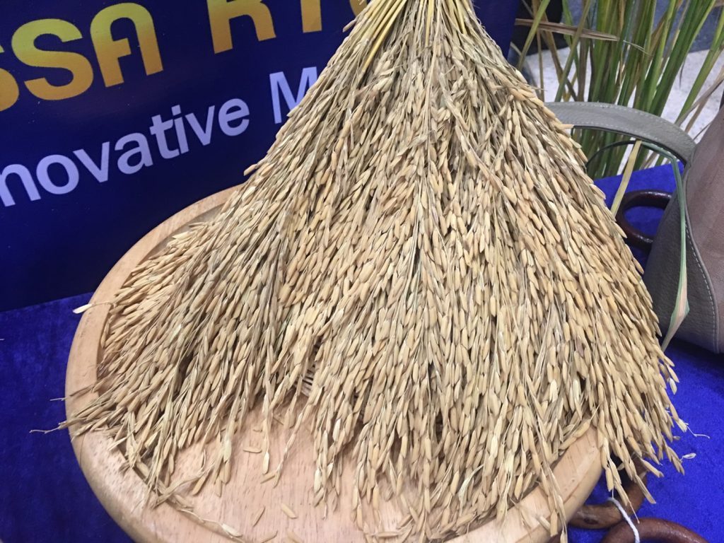 RMUTT researchers produced a textile product “Loincloth” from rice straw