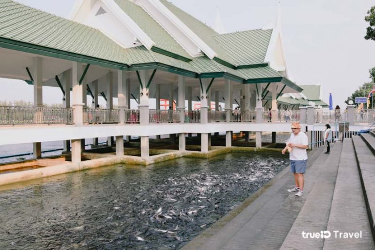 Tourist attraction in Pathum Thani Province: ‘Wat Bot’ – Rajamangala ...