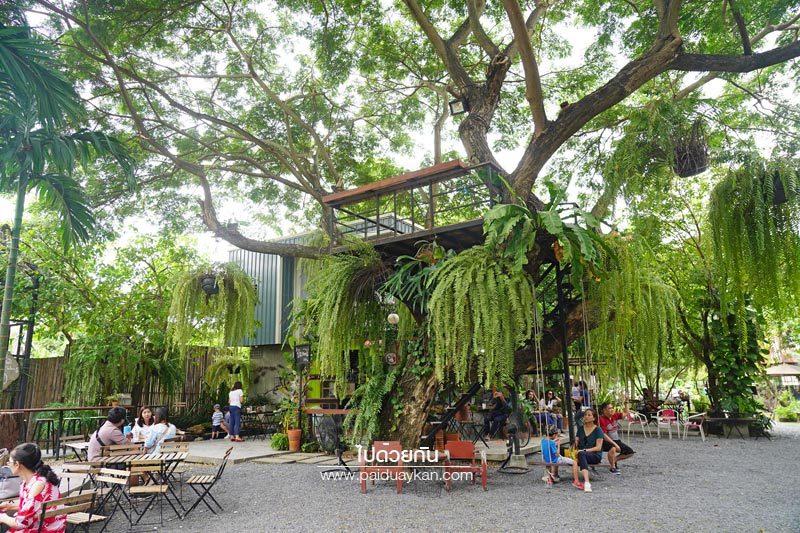 Tourist attraction in Pathum Thani Province: ‘Baan 1000 Mai Café & Farm ...