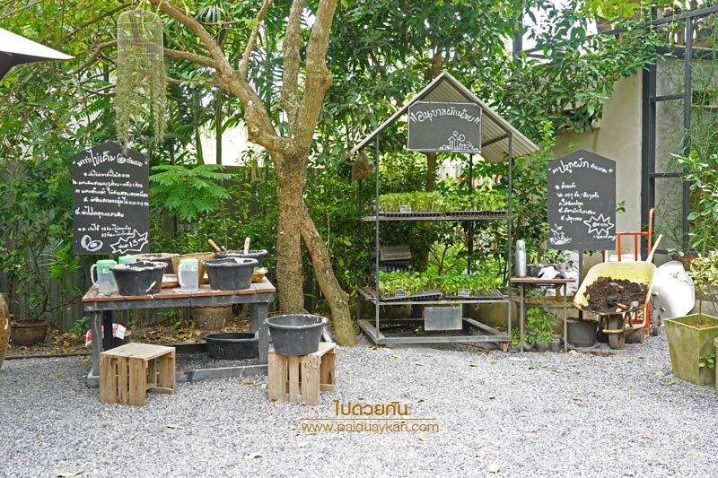 Tourist attraction in Pathum Thani Province: ‘Baan 1000 Mai Café & Farm ...