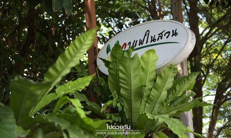 Tourist attraction in Pathum Thani Province: ‘Klong 13 Coffee House ...