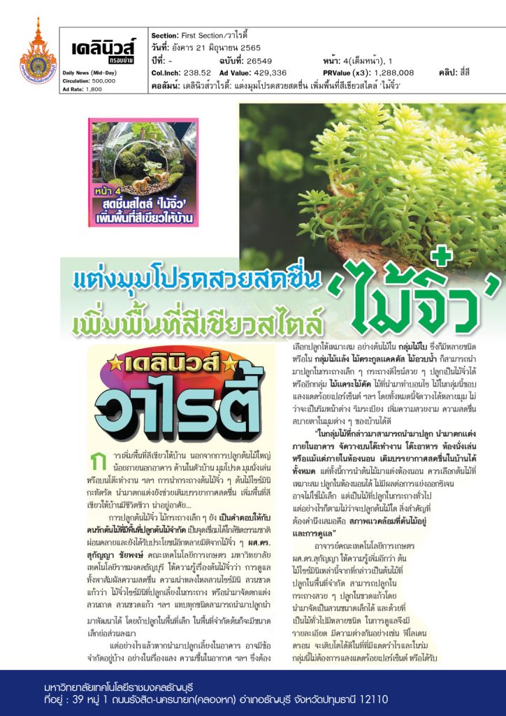 Column, ‘Dailynews Variety’: A ‘Terrarium Garden’ for your favorite ...