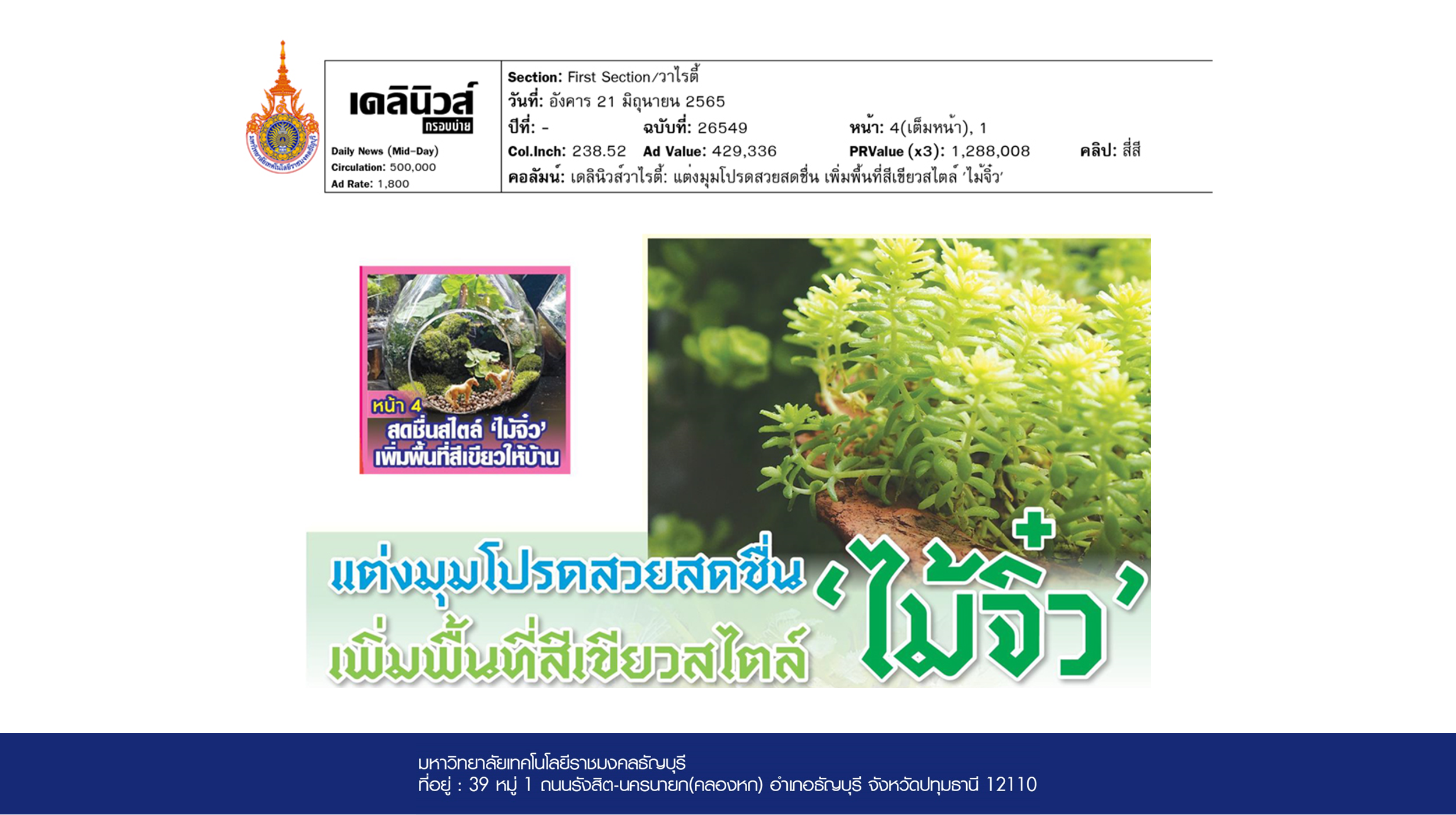 Column, ‘Dailynews Variety’: A ‘Terrarium Garden’ for your favorite ...