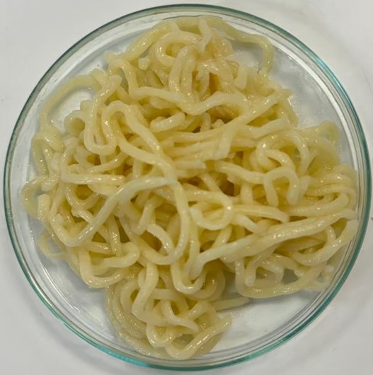 ‘Banana Flower Noodles’ – A Healthy Dietary Alternative – Rajamangala ...